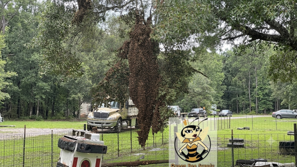 Millions of Bees Escape After Beehive Truck Overturns, Authorities ...